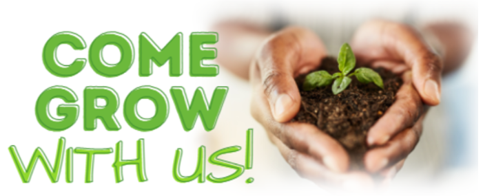 Come Grow With Us! - Teller Daily Activity Reports Options In CU*BASE – CU*SOUTH Client Support ...